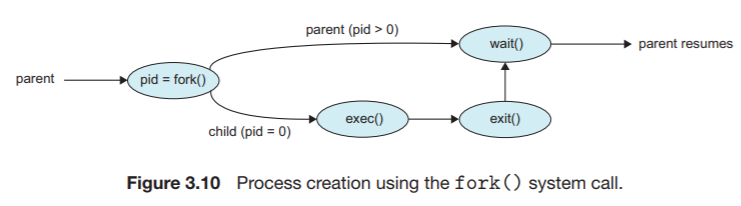 Operating System - Process Management and Thread Management | WillyWangkaa